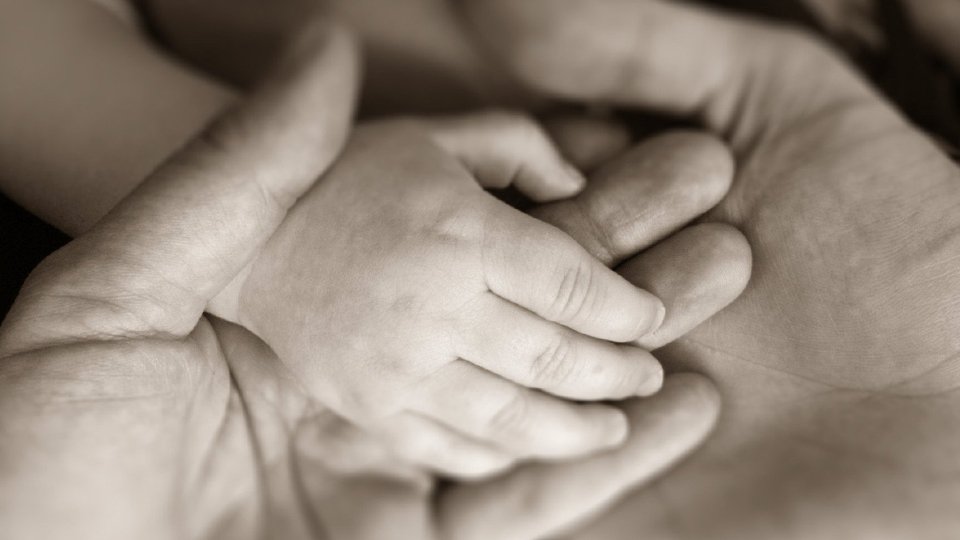 The Employment (Amendment) Act, 2021 Signed into Law - ALN